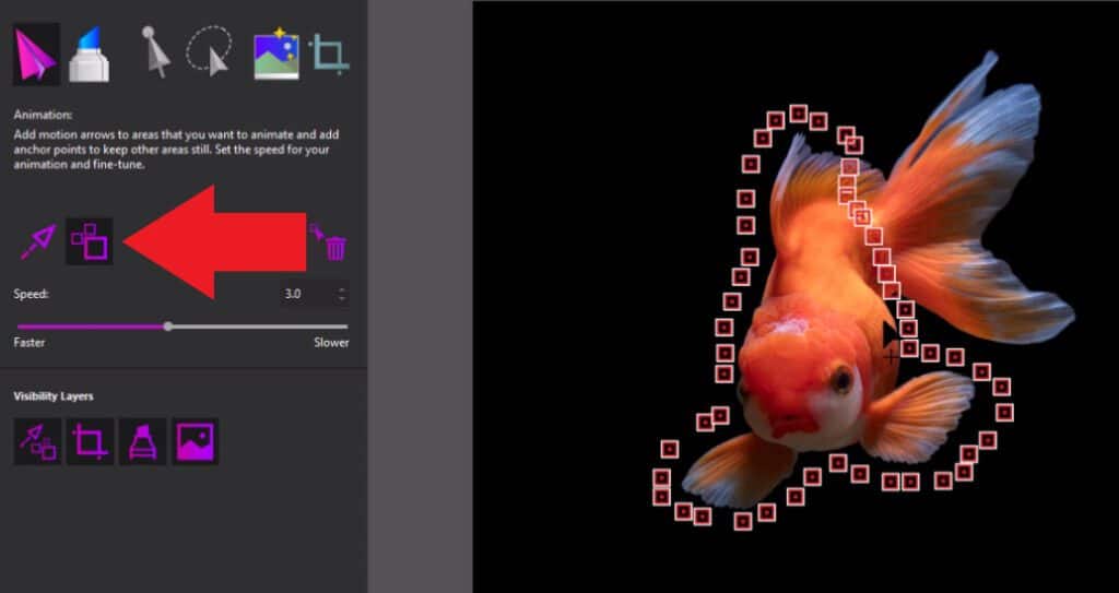 How to Make a Back and Forth Animation - Corel Discovery Center