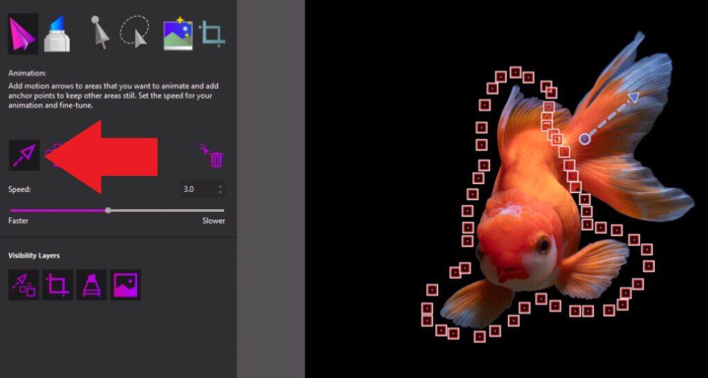 How to Make a Back and Forth Animation - Corel Discovery Center