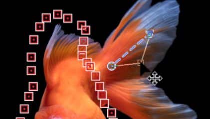 How to Make a Back and Forth Animation - Corel Discovery Center