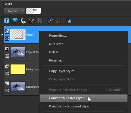 Create a 3D Photo Effect - Corel Discovery Center
