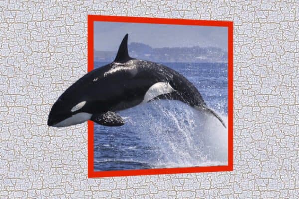 Create a 3D photo effect - Corel Discovery Center