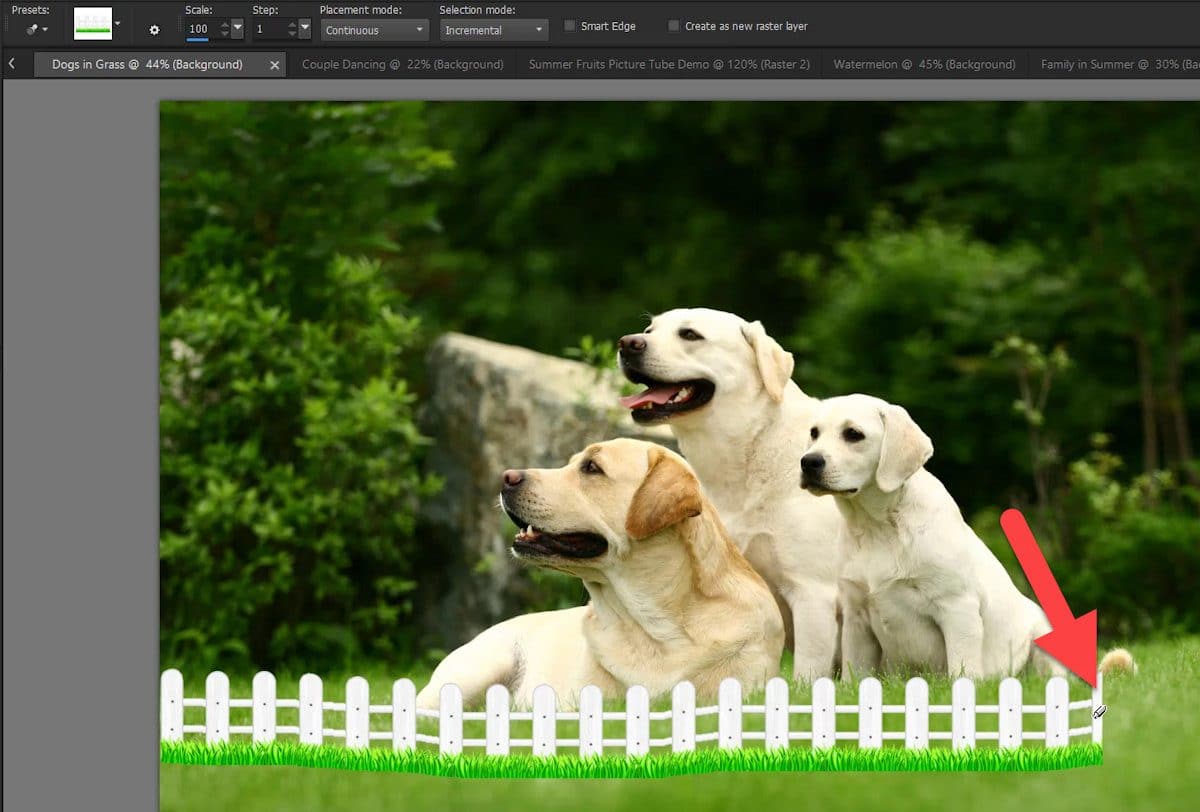 How to use the Picture Tube tool - Corel Discovery Center