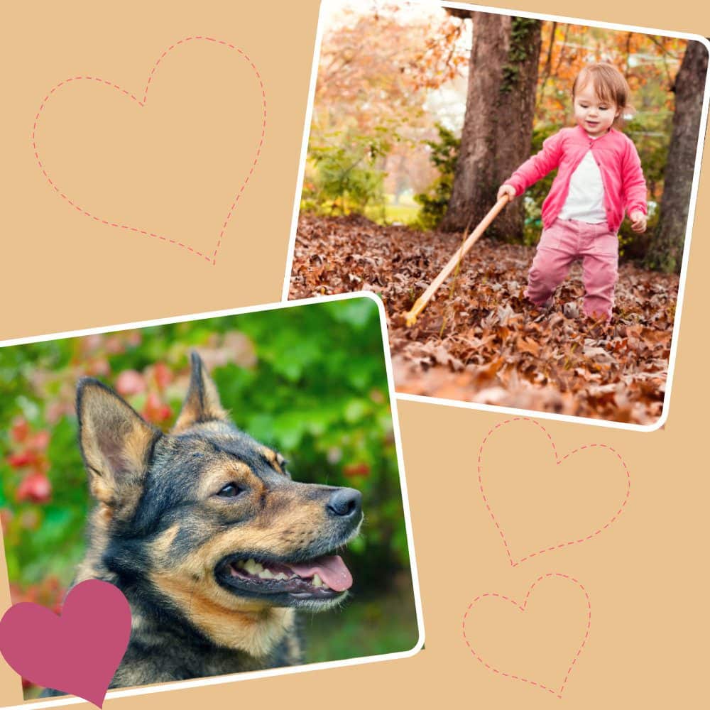 How to use the Shape tools - Corel Discovery Center