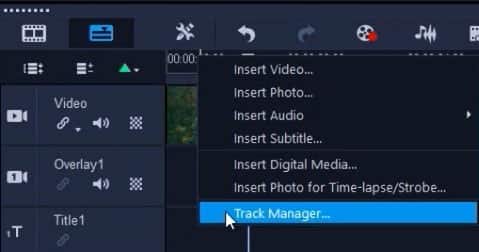 How to use Chroma Key, masks and overlays - Corel Discovery Center