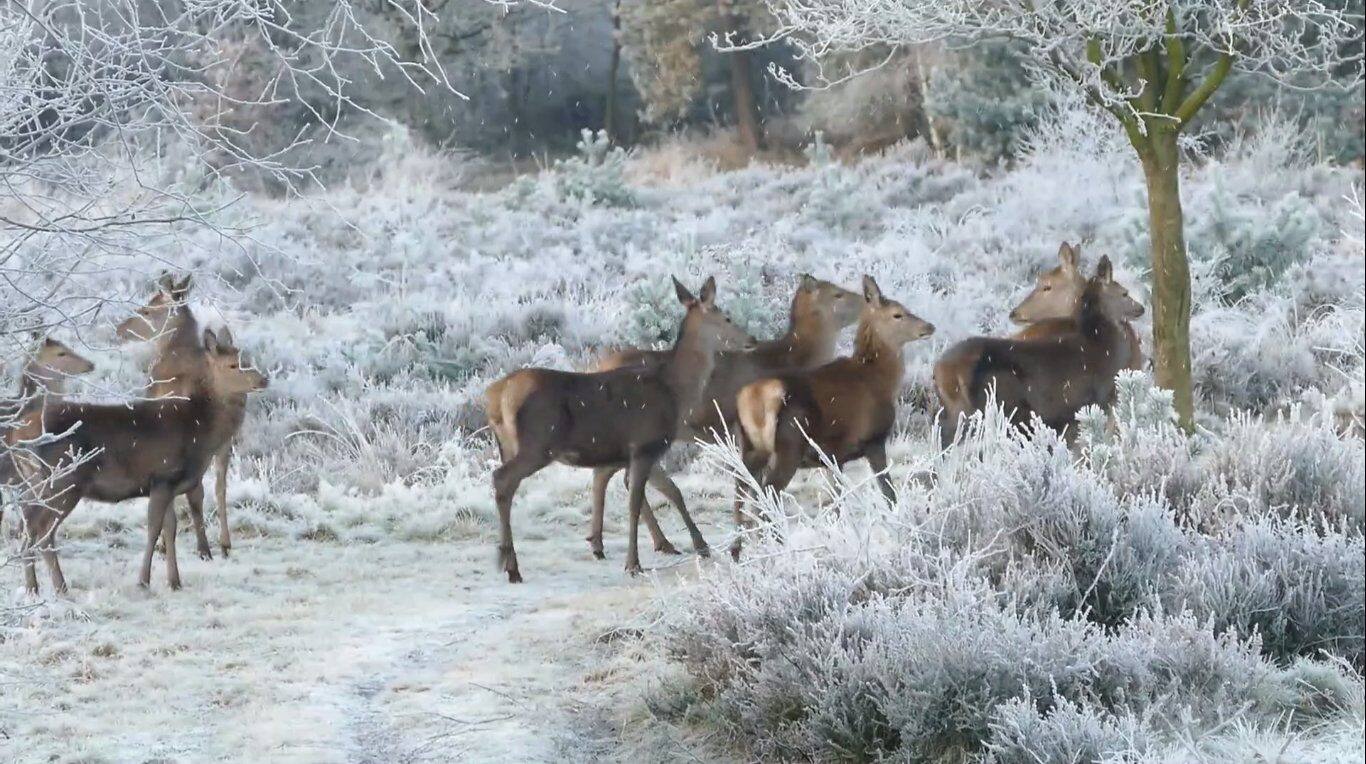 How to add weather effects to video - Corel Discovery Center