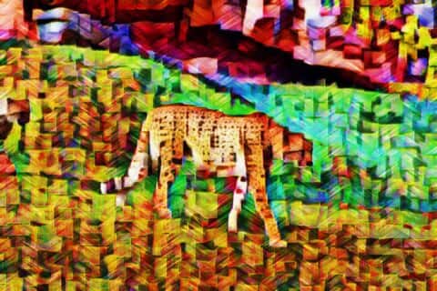 Animal Photo and Art Contest - Corel Discovery Center