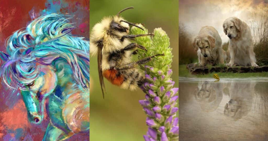 Blog - Corel Discovery Center