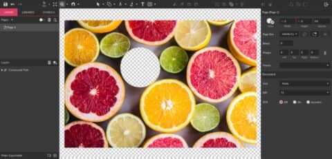 Photo Background Removal in Corel Vector - Corel Discovery Center