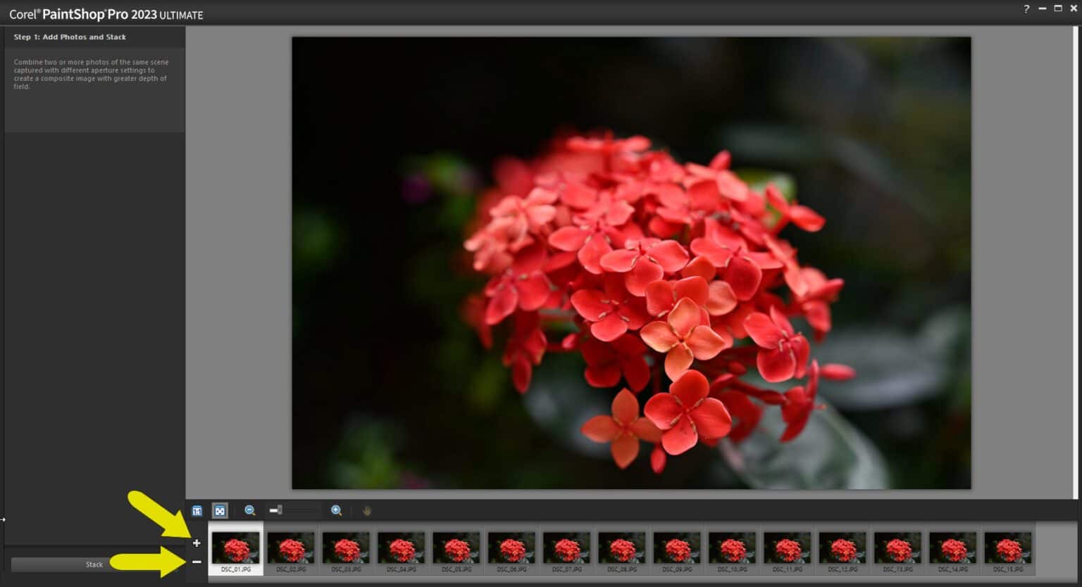 How to use Focus Stacking - Corel Discovery Center