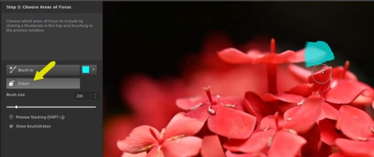 How to use Focus Stacking - Corel Discovery Center