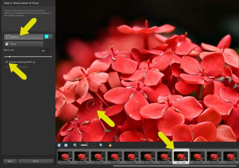 How to use Focus Stacking - Corel Discovery Center