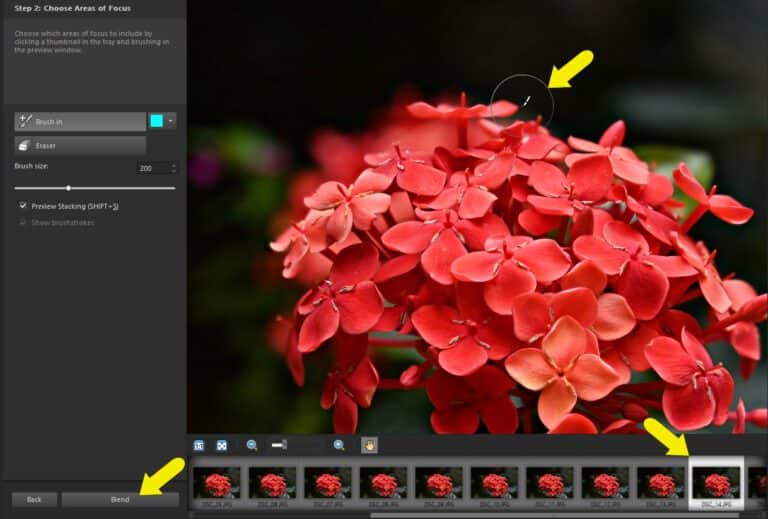 What's New in PaintShop Pro 2023 - Corel Discovery Center