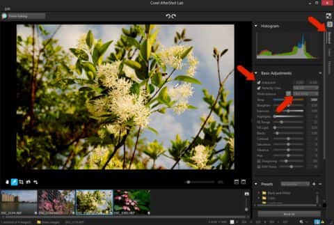 What's New in PaintShop Pro 2023 - Corel Discovery Center