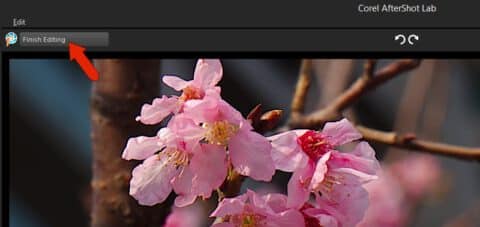 What's New in PaintShop Pro 2023 - Corel Discovery Center