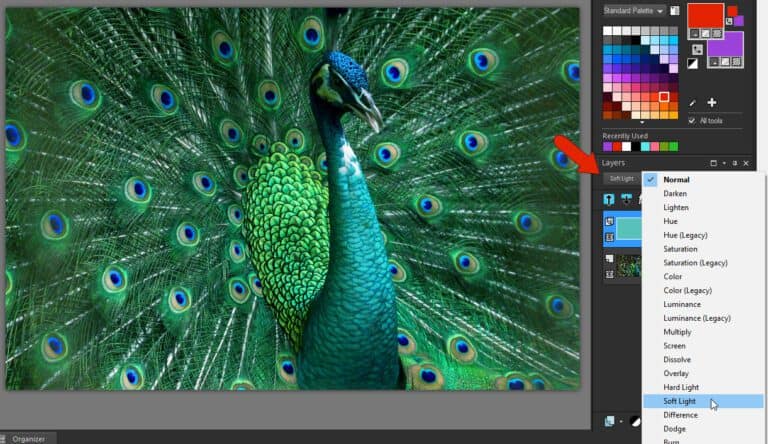 What's New in PaintShop Pro 2023 - Corel Discovery Center