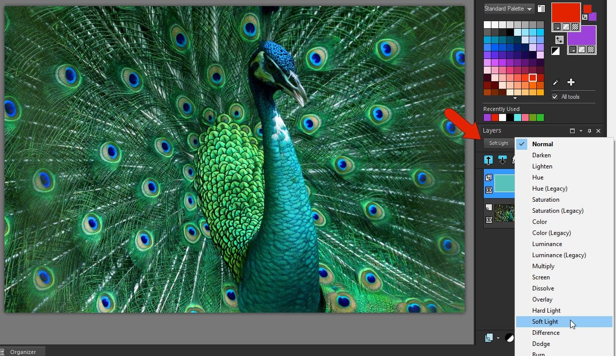 What's new in PaintShop Pro - Corel Discovery Center