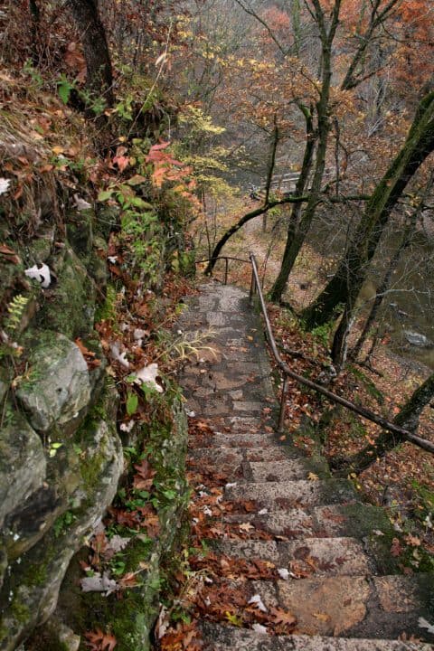 Fabulous Fall Photo and Art Contest - Corel Discovery Center