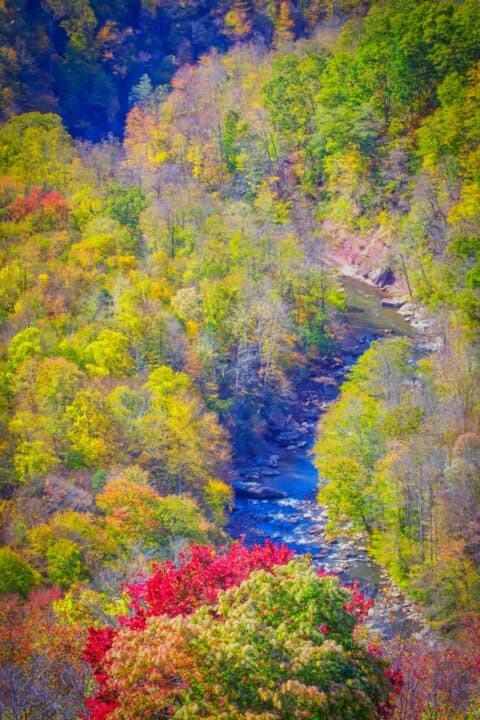 Fabulous Fall Photo and Art Contest - Corel Discovery Center