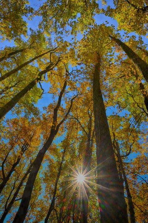 Fabulous Fall Photo and Art Contest - Corel Discovery Center