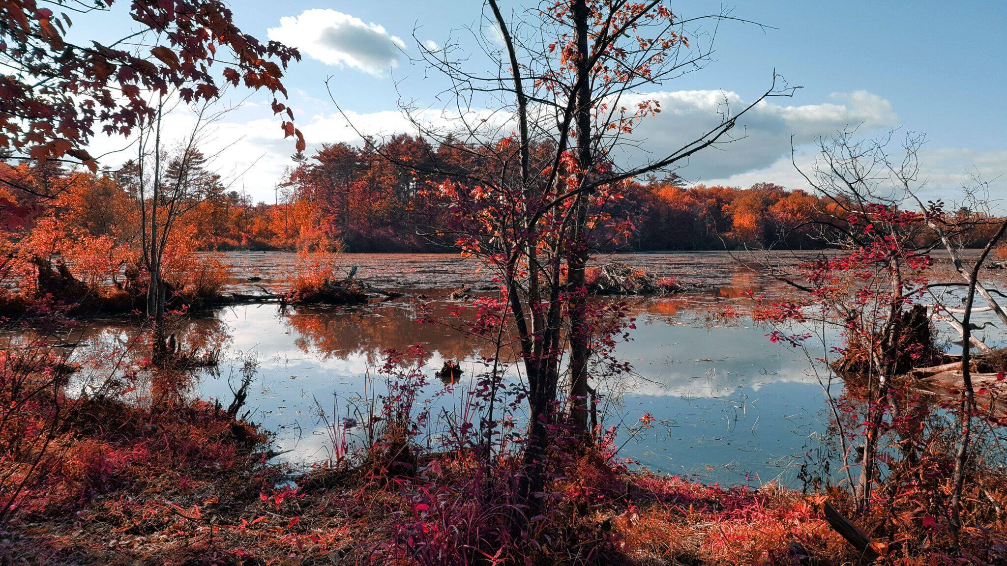 Fabulous Fall Contest Winners and Finalists - Corel Discovery Center