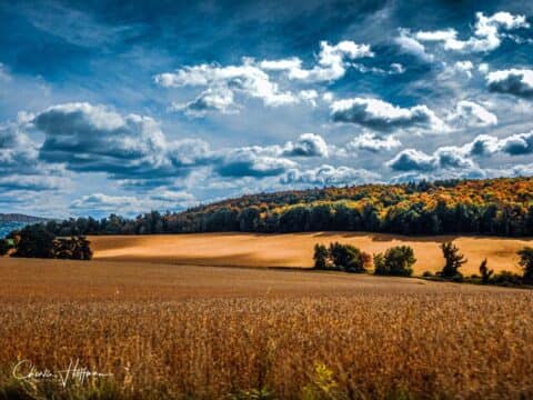 Fabulous Fall Photo and Art Contest - Corel Discovery Center