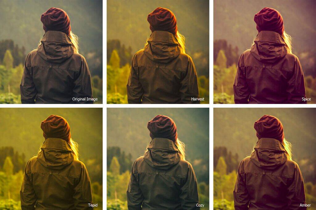 Getting Started with AfterShot Pro for a Faster Workflow - Corel ...