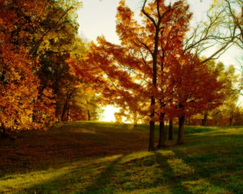 Fabulous Fall Photo and Art Contest - Corel Discovery Center