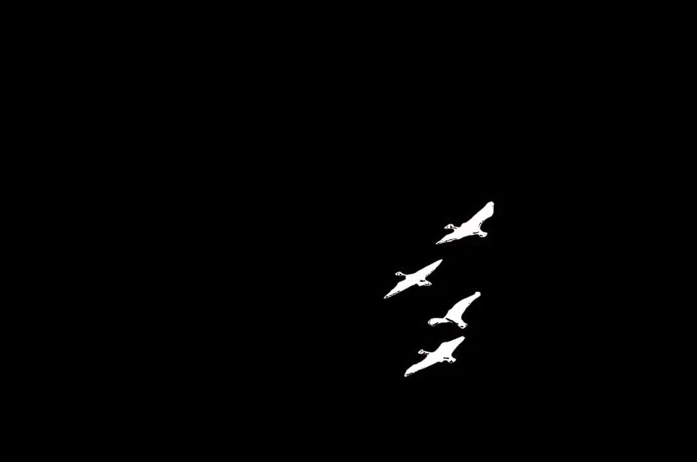 Using negative space in photography - Corel Discovery Center