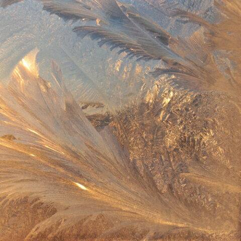 Home - Corel Discovery Center