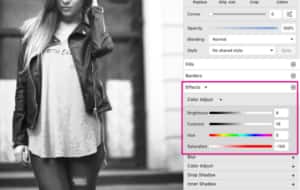 Create a duotone poster in Corel Vector - Corel Discovery Center