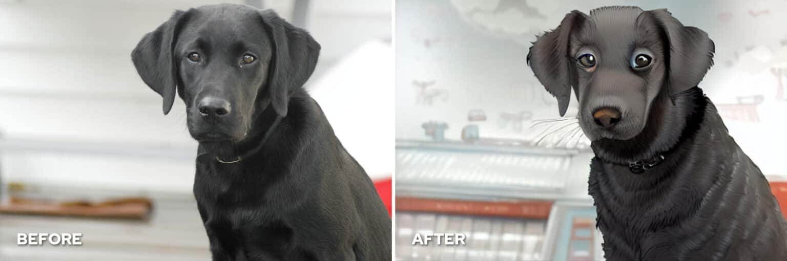 How to use Vision FX - Corel Discovery Center