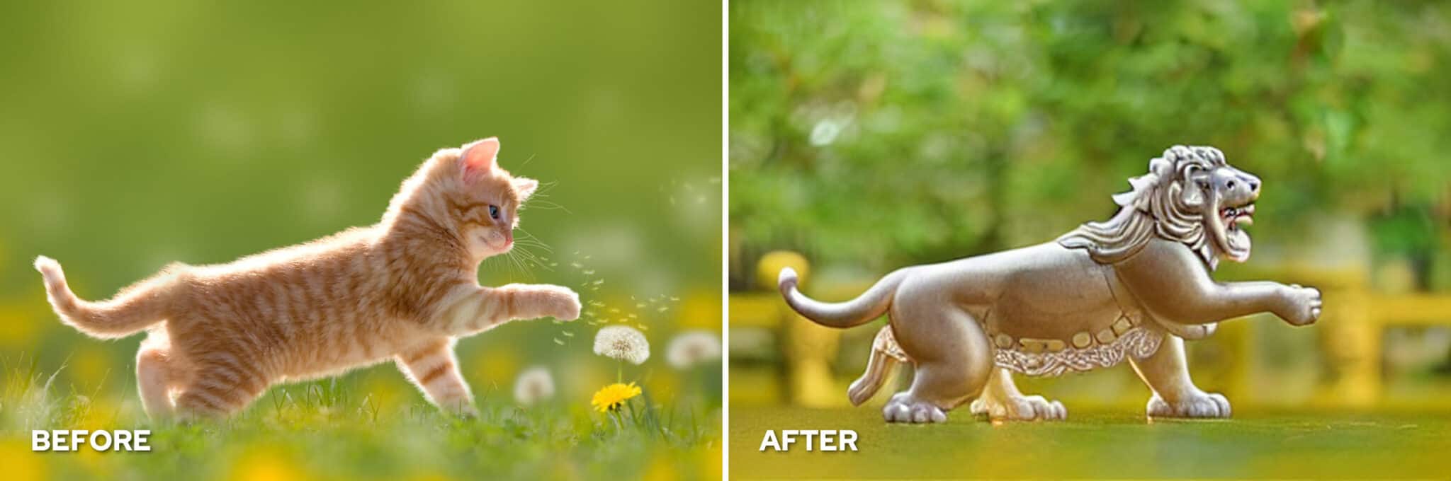 How to use Vision FX - Corel Discovery Center