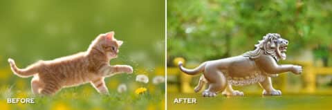 How to use Vision FX - Corel Discovery Center