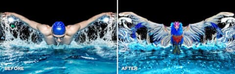 How to use Vision FX - Corel Discovery Center