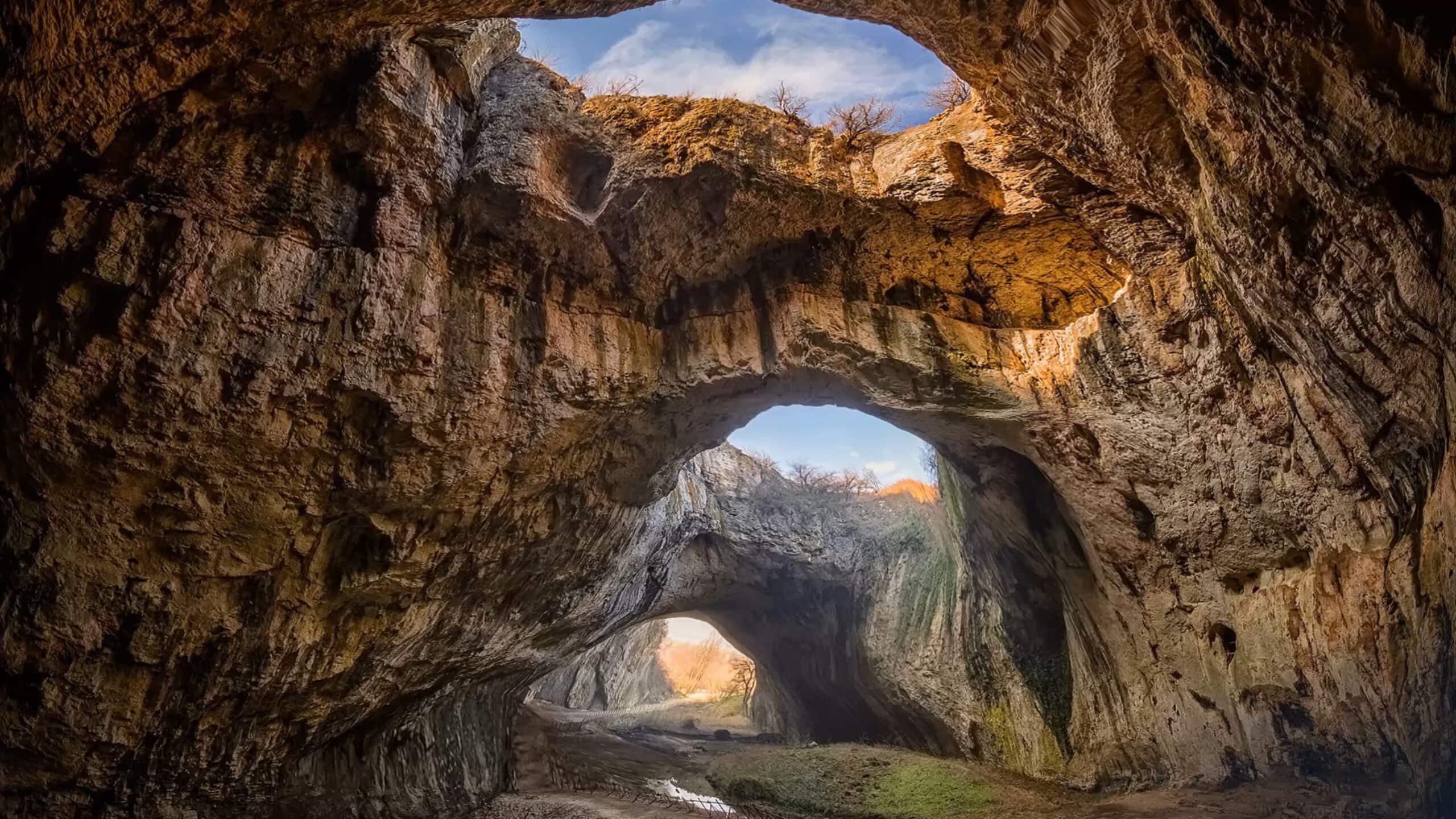 Microsoft Bing windows 11 2/4/2024 - Corel Discovery Center